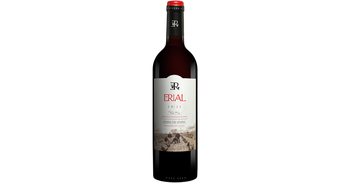 Erial 2022