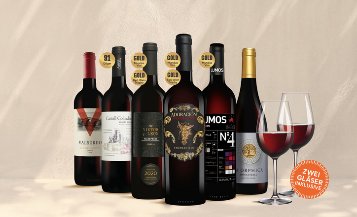 Vinos Tinto Paket